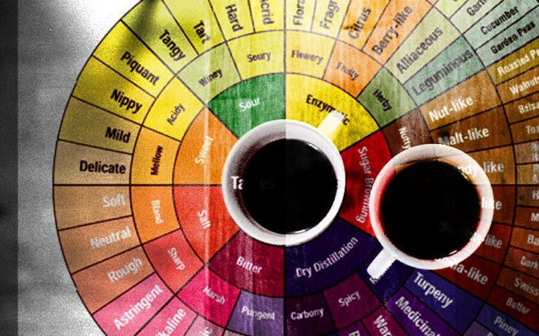 Understanding Taste and Coffee Flavor Notes | Mistobox Coffee Blog