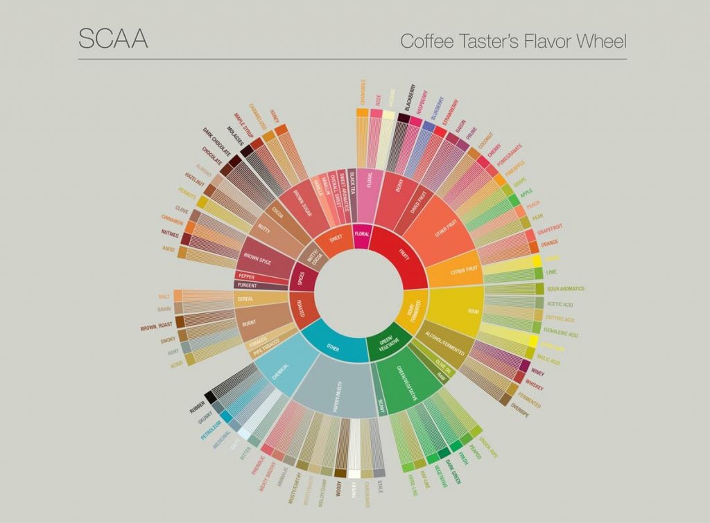 Coffee Tasting Guide on Mistobox, Your Guide to Good Coffee