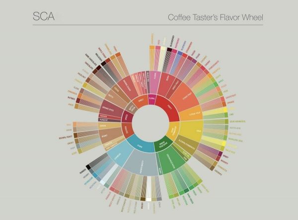 Understanding Taste and Coffee Flavor Notes | Mistobox Coffee Blog