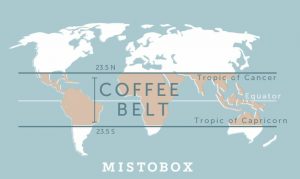 What influences the taste of coffee? | Mistobox Coffee Blog