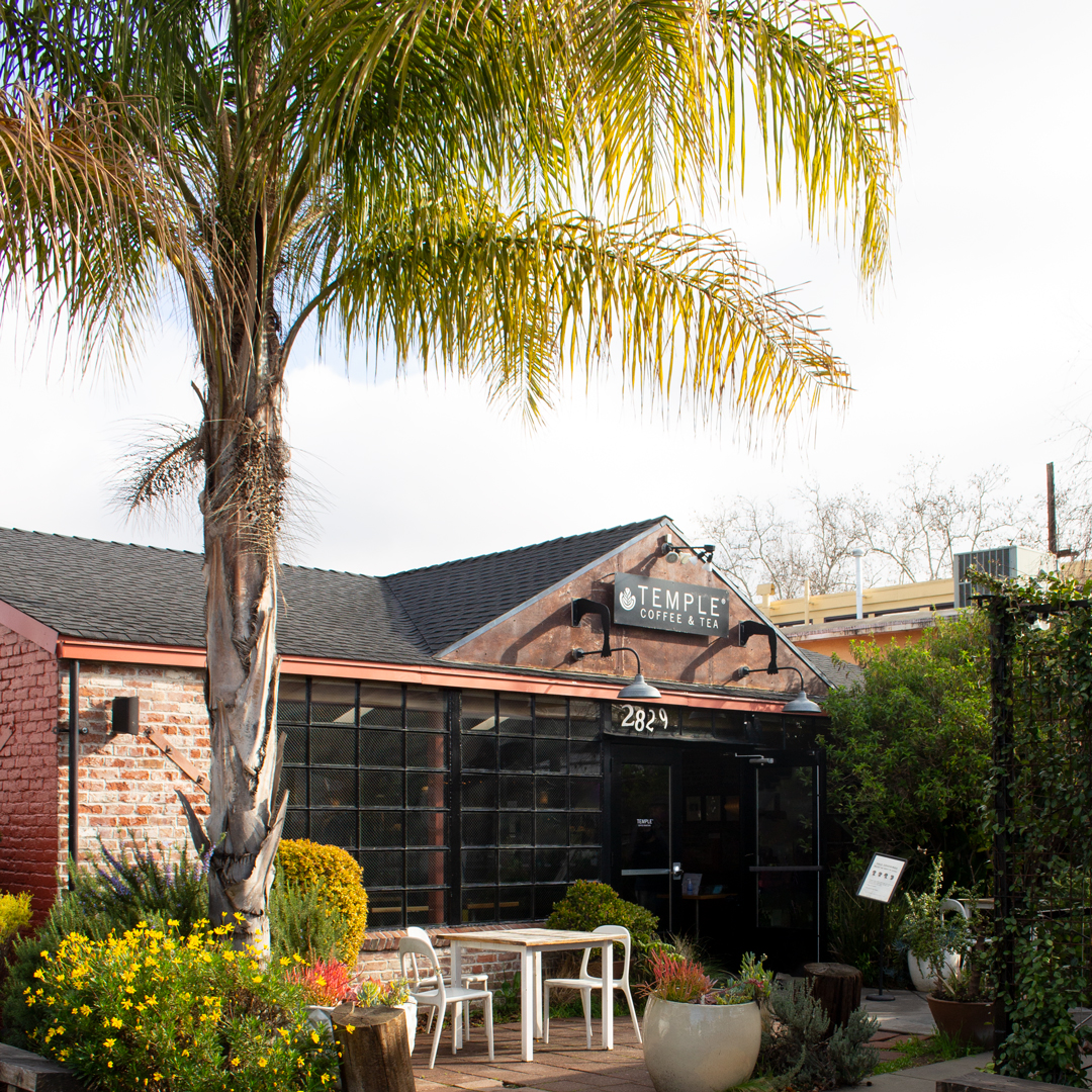 Get to know Temple Coffee Roasters - Mistobox, Your Guide to Good Coffee